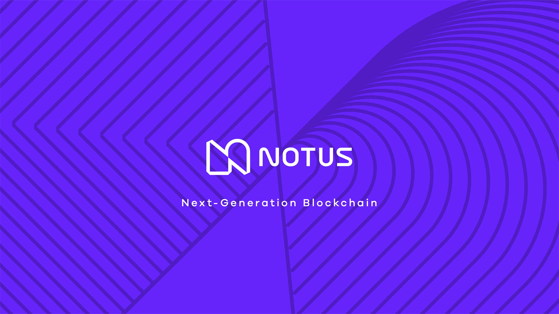 Notus Network | Community